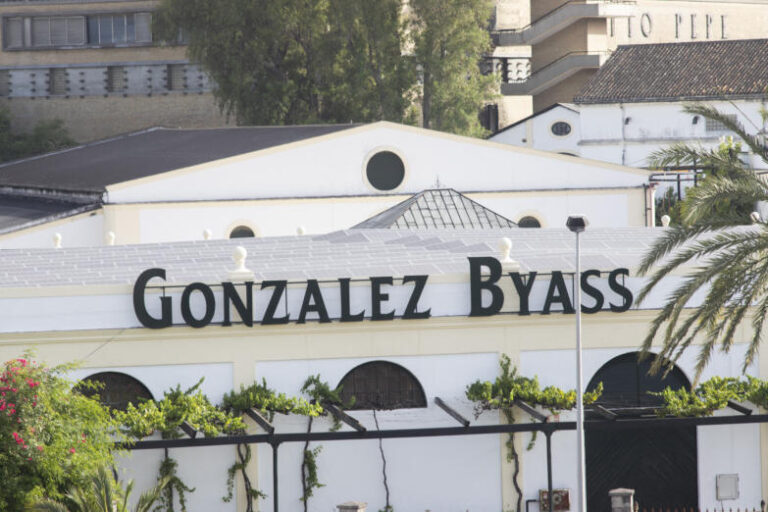González Byass presenta su memora de sostenibilidad 2024-2025 - Revista ...